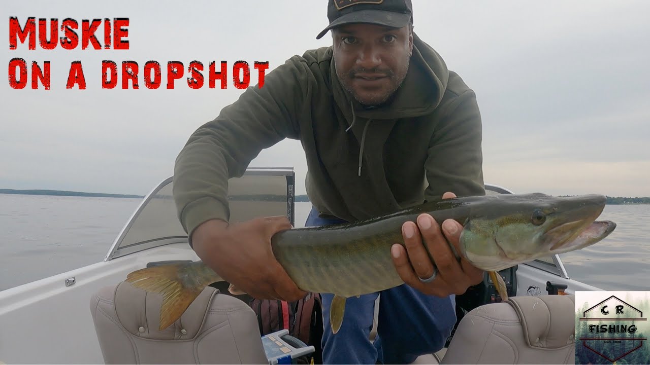 Caught a Muskie on a drop shot - YouTube