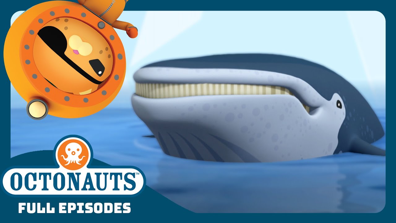 @Octonauts - 🐋 The Humpback Whales 🐋 | Season 3 | Full Episodes ...