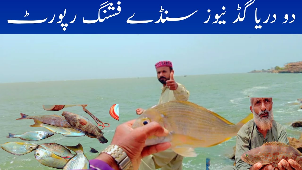 do darya! Sunday fishing 28 August 2023 paplet fish Grouper Hamour ...