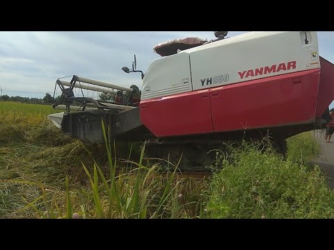 Combine yanmar yh850. Sangat unggul saat ini - YouTube