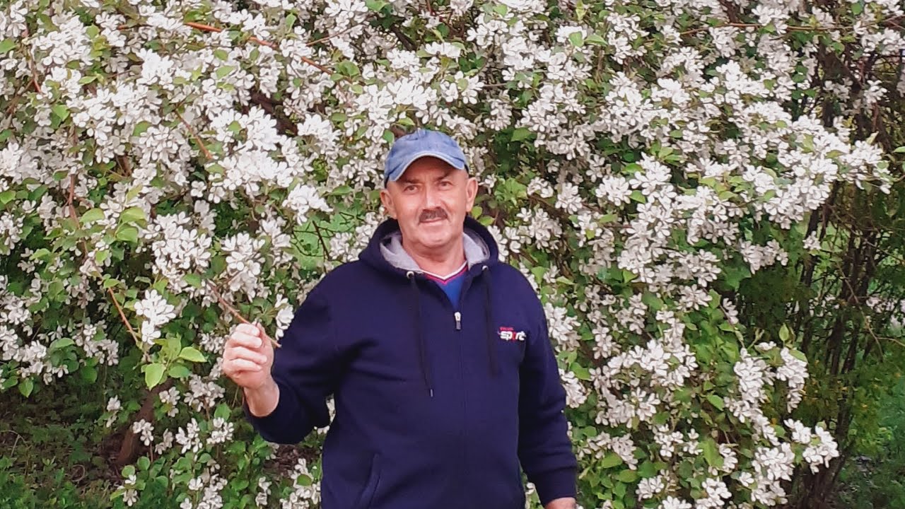 Сөю кабатланмый ...💞... - YouTube