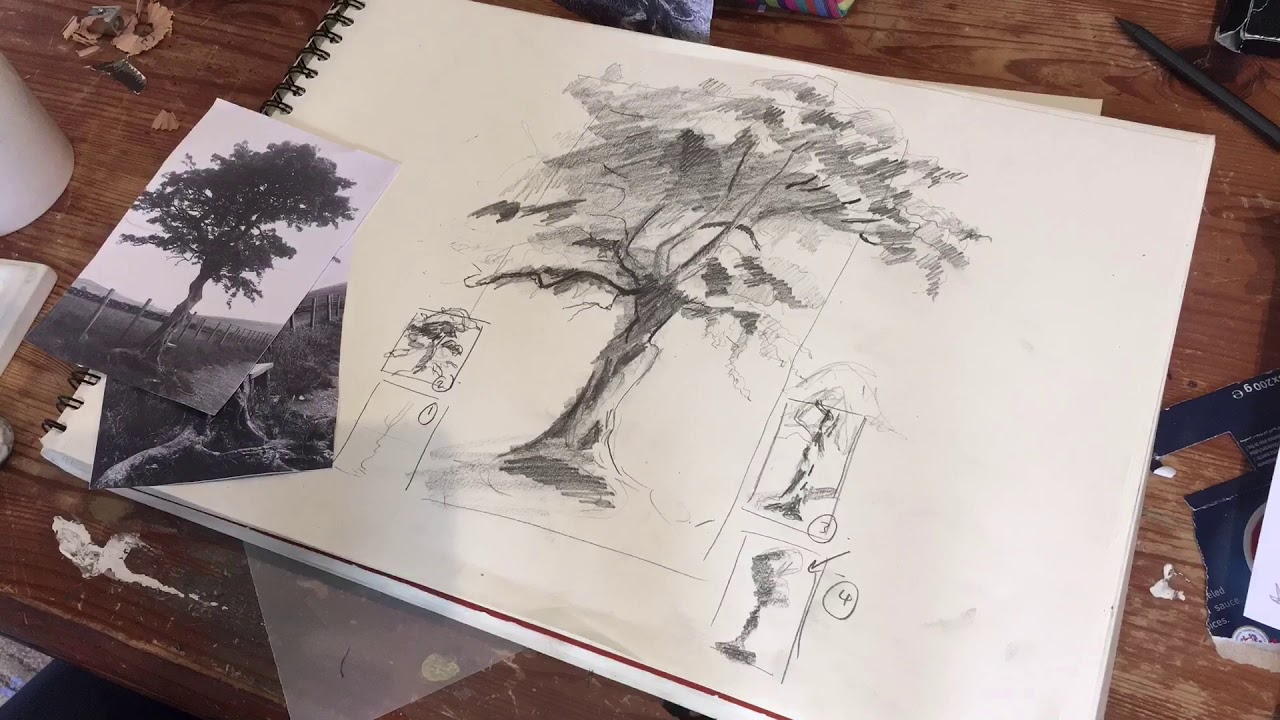 Learn to draw trees - YouTube