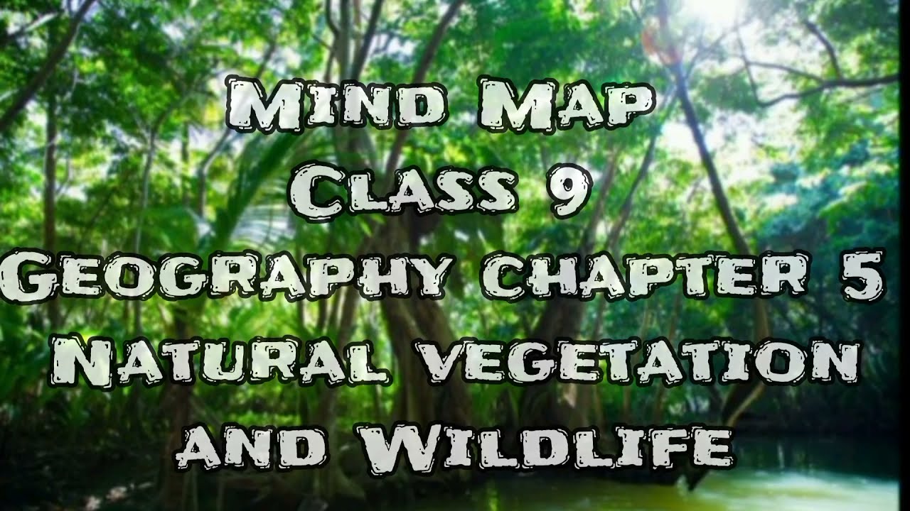 class 9 natural vegetation and wildlife mind map | class 9 Geography ...