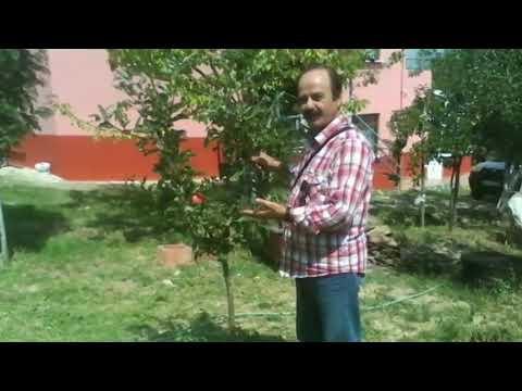 MEHMET BOZDOĞAN ÔLDÜRDÜDE BENİ🌷🌹🥀🍂🌳💐🌱🌿🇹🇷🇹🇷🇹🇷🇹🇷🇹🇷🇹🇷🇹🇷🇹🇷🌿🌱💐🌹🌷🌹🇹🇷🇹🇷🇹🇷🇹🇷