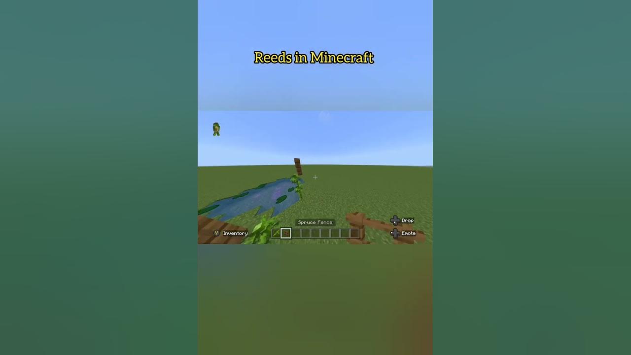 How To Make Reeds In Minecraft Youtube
