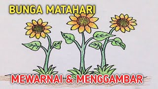 Cara menggambar - bunga matahari - Cara mewarnai gambar... | Doovi