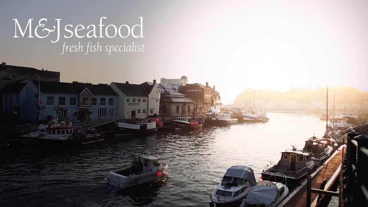 Weymouth Fishing With Ian Taylor - YouTube