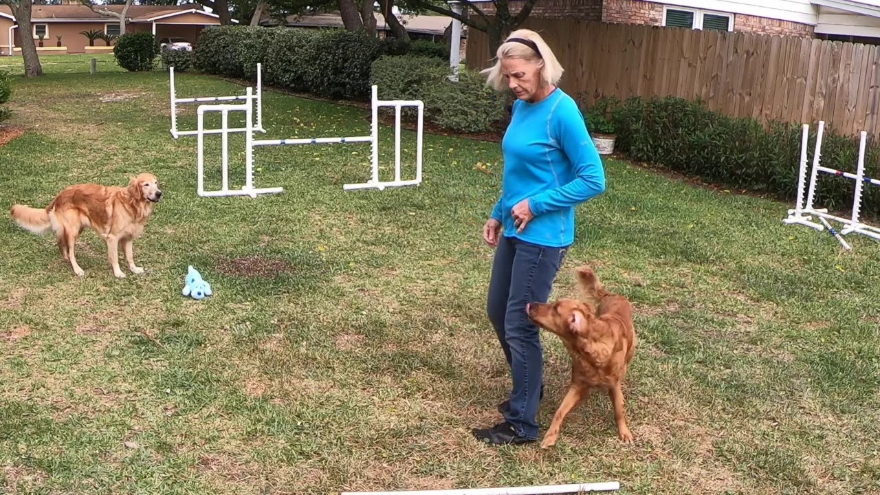 Foundation Flatwork 1 - YouTube