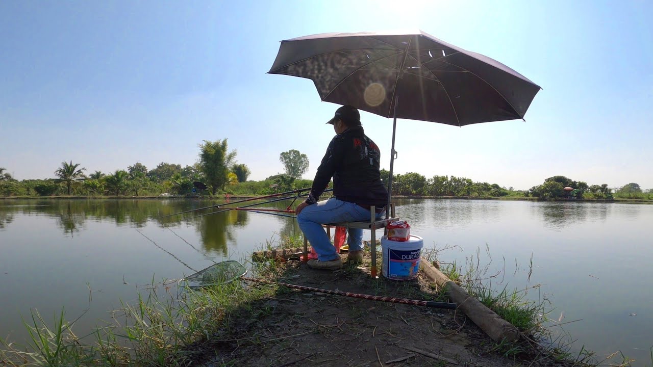 หมายนี้ สัตว์ประหลาดเยอะ ตกชิงหลิว บ่อเหมา 150 บาท ไม่สงวน 😋 Ab-Fishing ...