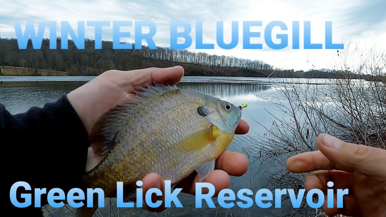 Winter Bluegill at Green Lick Reservoir - YouTube