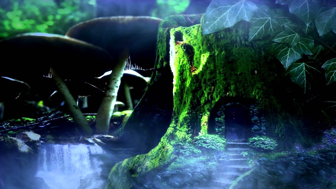 A Good Morning - Enchanted Forest (Awaken your heart stimulation ...