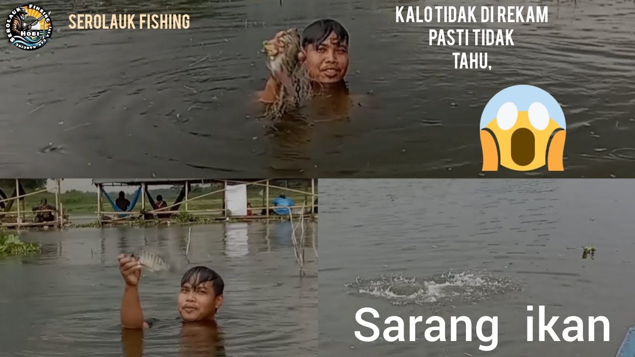 JALA IKAN DI SARANG IKAN Jos PISAN EUY - YouTube