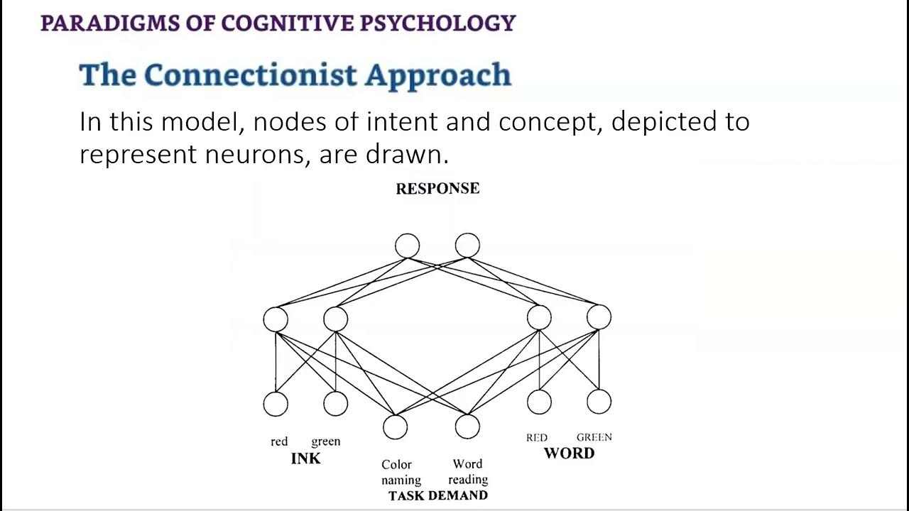 PSYC 3360 Chapter 1 part 8 Paradigms, Info Processing, Connectionist ...