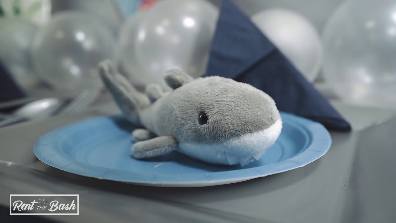 Shark Collection Overview - YouTube