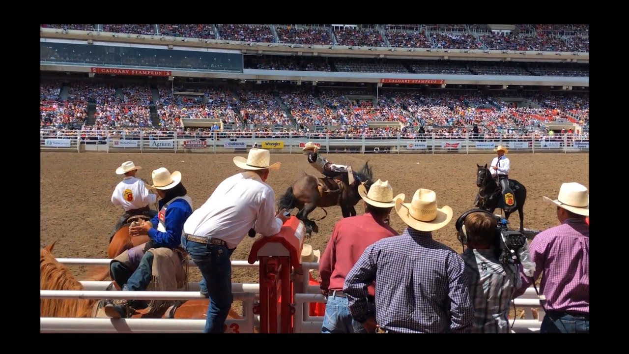The Sights and Sounds of the Calgary Stampede Rodeo - YouTube