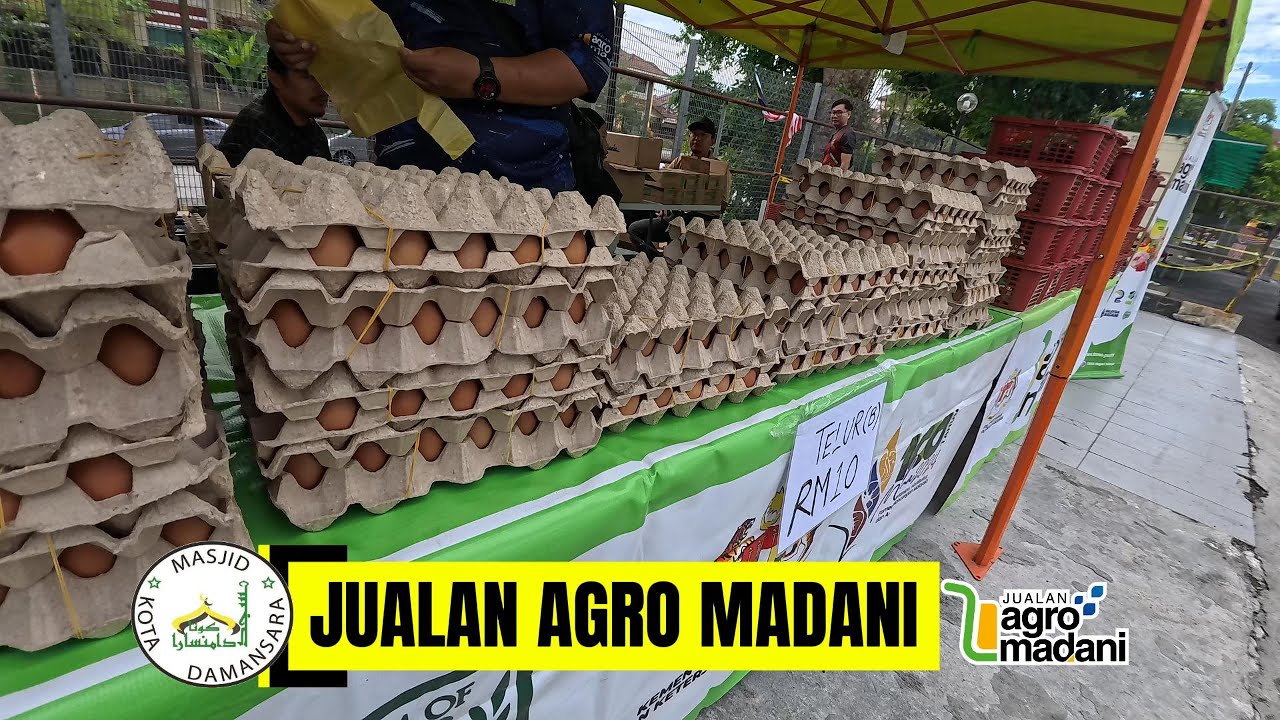 Jualan Agro Madani 4 Oktober 2025 - YouTube