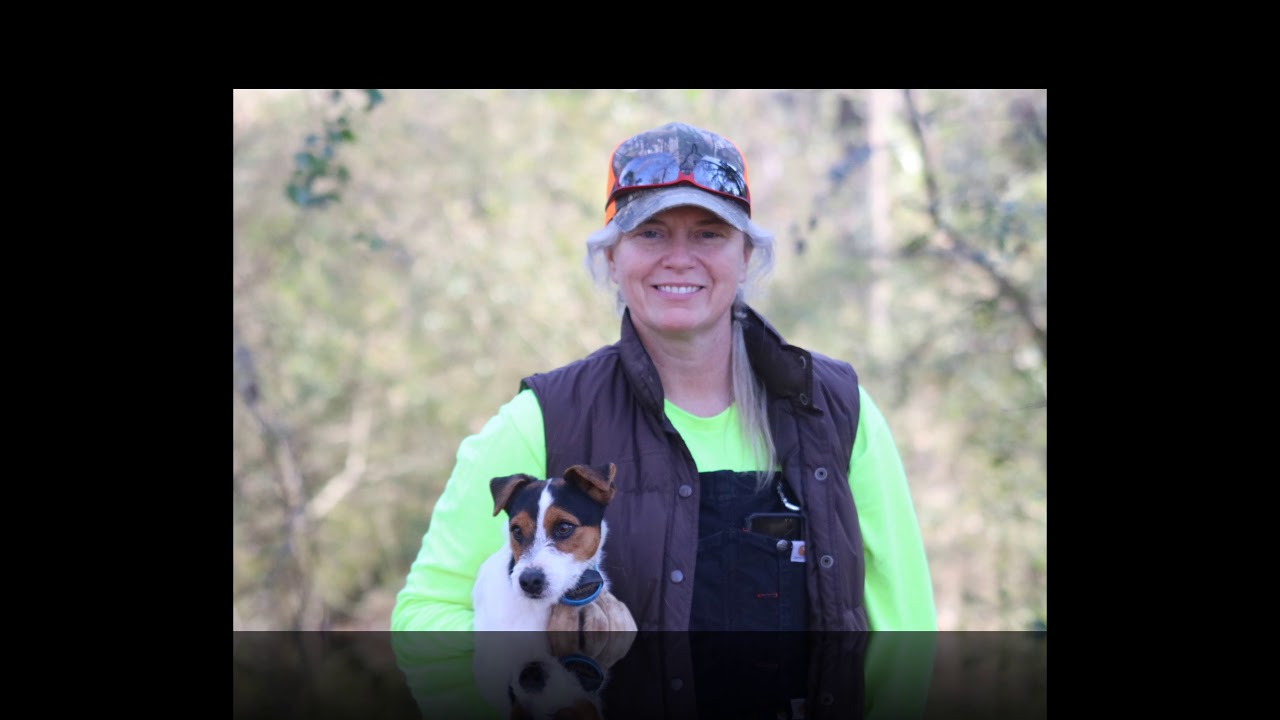 Jack Russell Hunting 4k Part 1 - YouTube