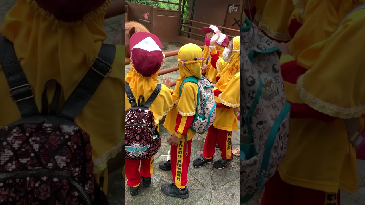 Outing class 1 ABCD SD Insan Amanah - YouTube