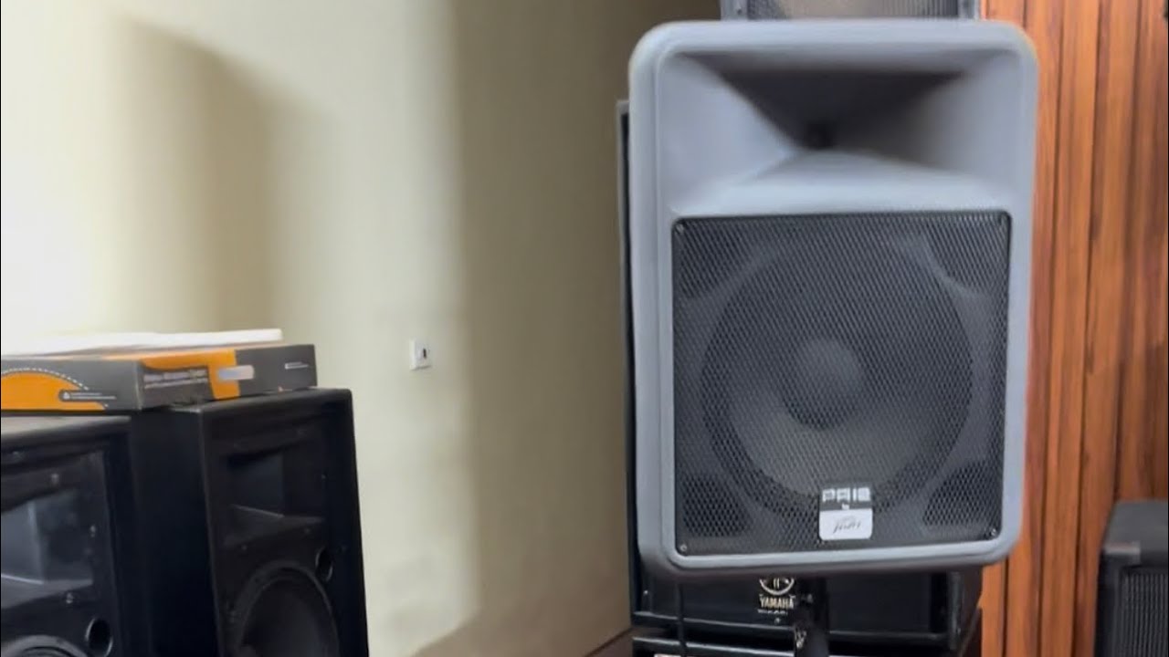 Giới Thiệu Chi Tiết Cặp Đôi Hoàn Hảo Peavey PR12 và Peavey PR Sub Sản ...