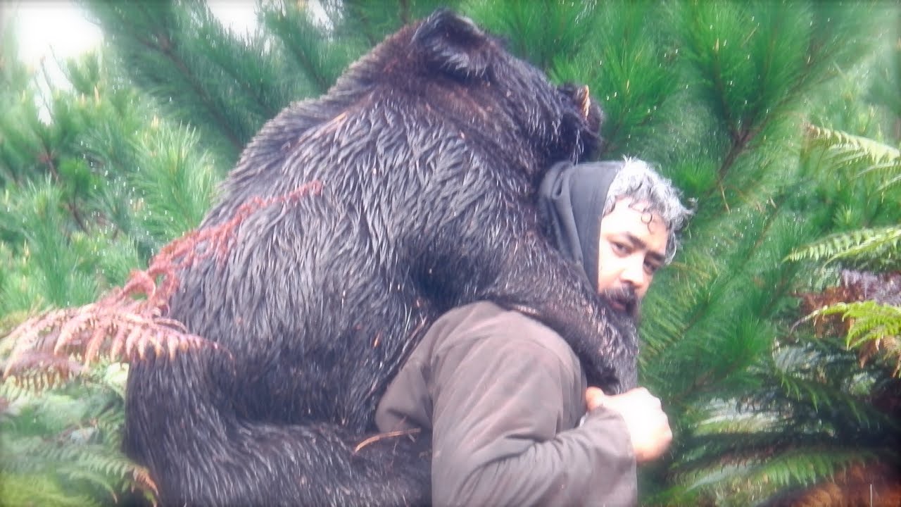 #waikarimoana Hunting wild boar (hog) in New Zealand part 4 - YouTube