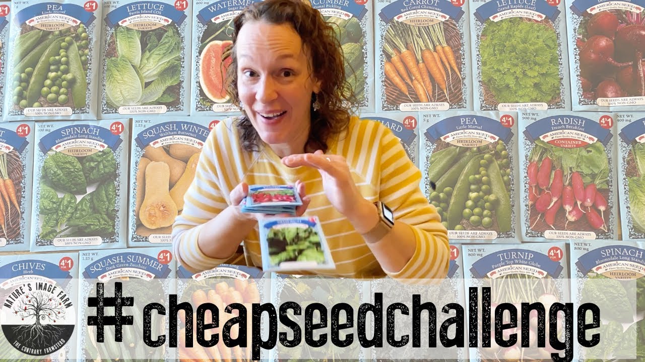 Cheap Seed Challenge HELP - YouTube
