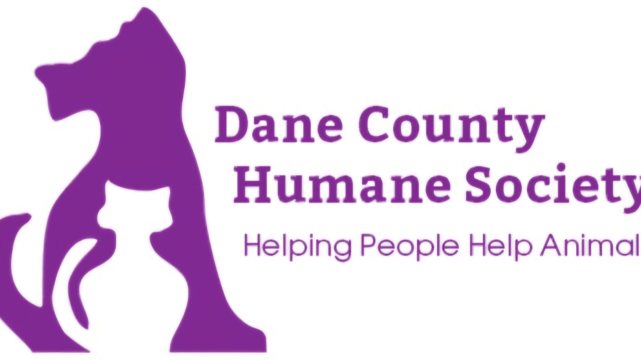 Trip to the local Humane Society - YouTube