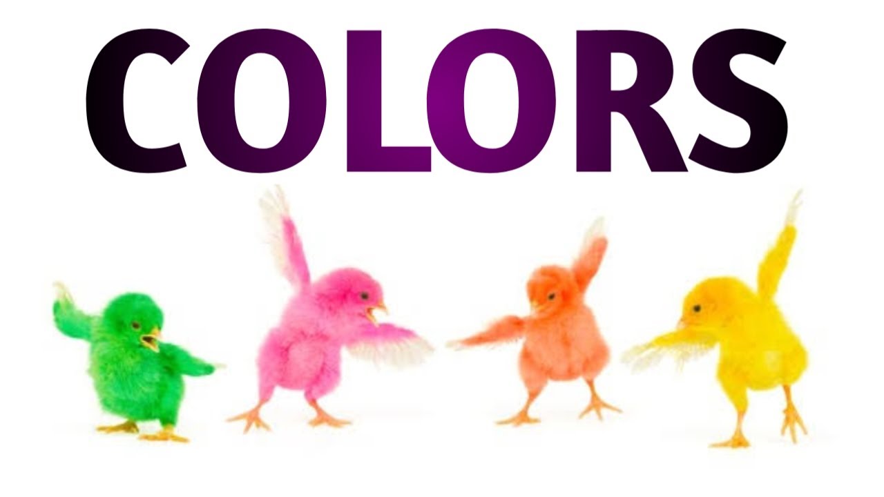 Colors For Kids | Learn Colors with animation | Colors Name - YouTube