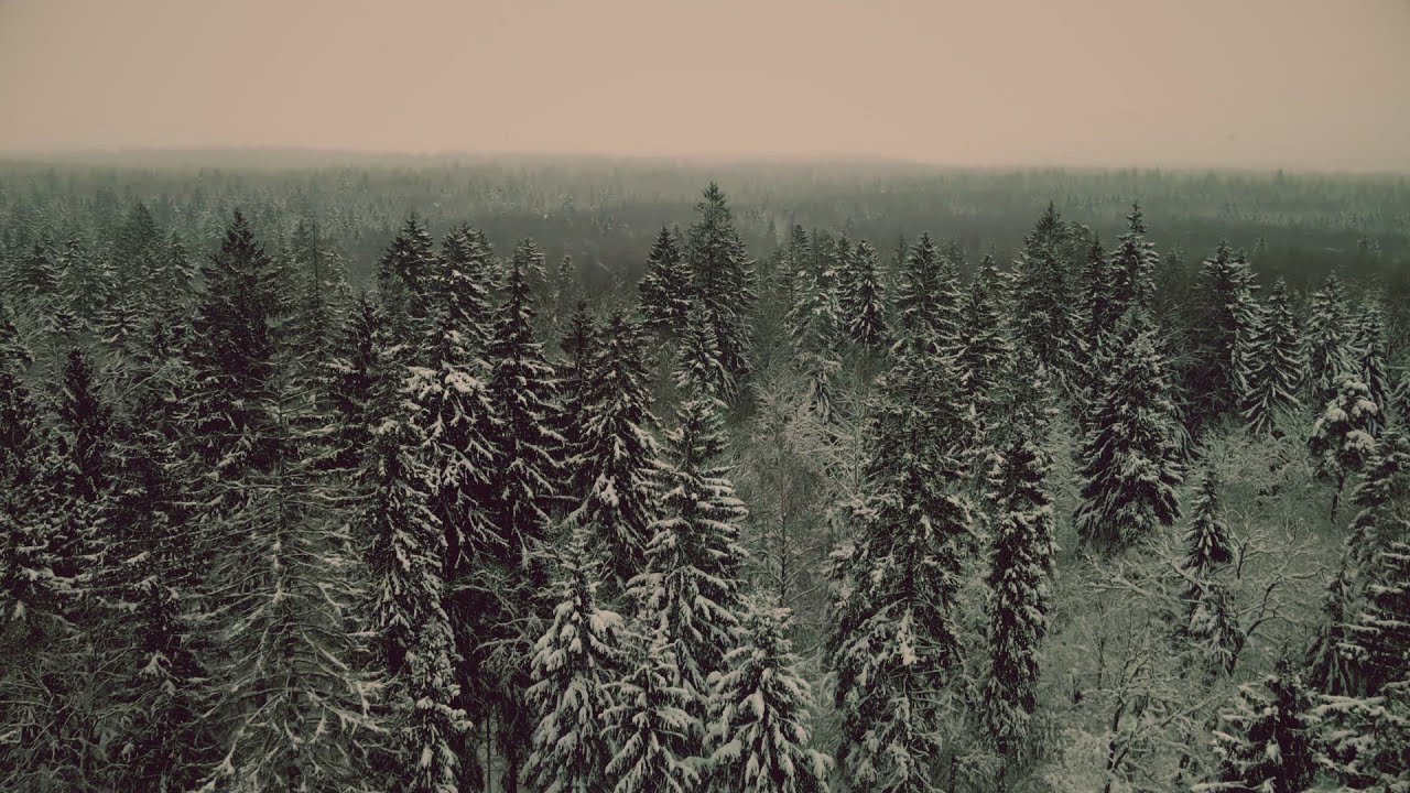 Nastergal - Eternal Winter - YouTube