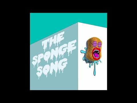 The Sponge Song - YouTube