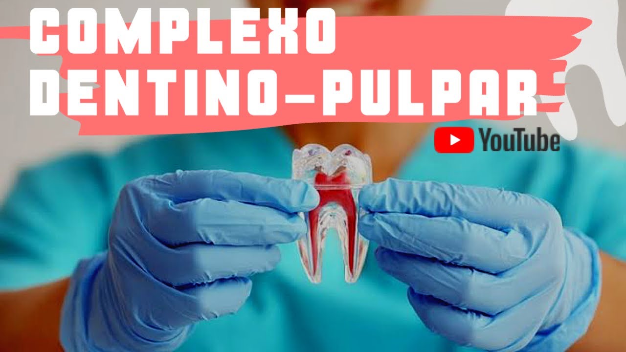 Complexo dentino-pulpar - YouTube
