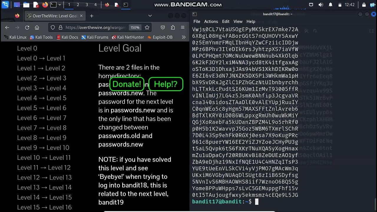 Cracking the Code: OverTheWire Bandit Level 17 Walkthrough (Beginner Friendly) - YouTube