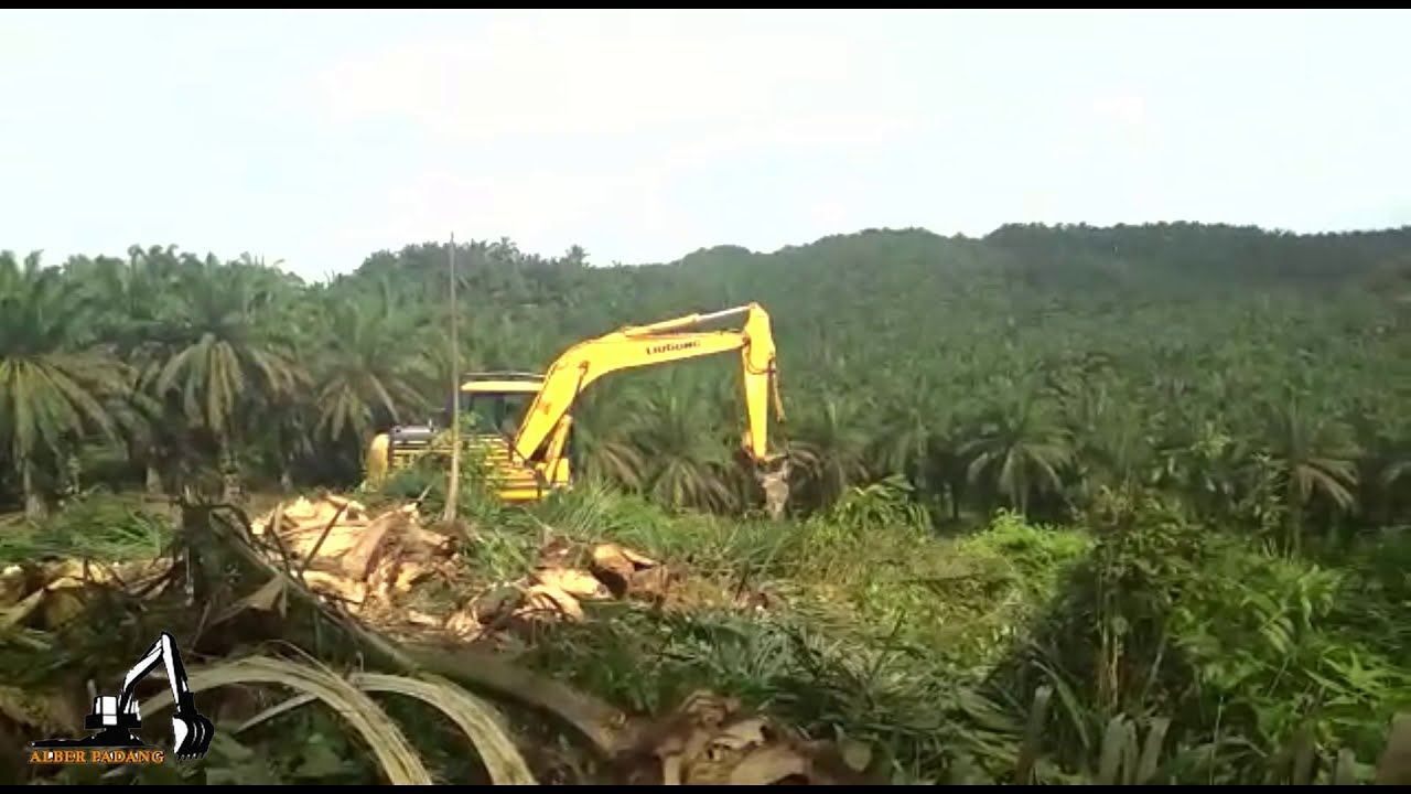 ALAT BERAT chiping pohon sawit | mainkan licahmu |ciping dengan komatsu ...
