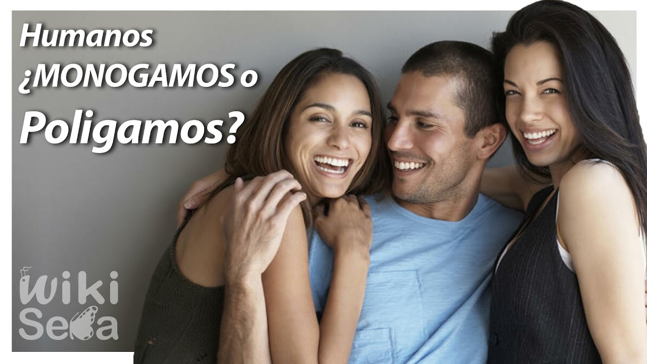 ¿Monogamo o Poligamo? | Analisis COMPLETO - YouTube