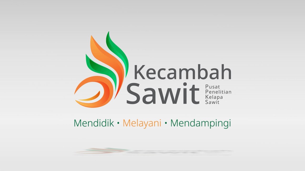 KABAR GEMBIRA!! Kecambah Sawit PPKS Hadir dengan Wajah Baru! - YouTube