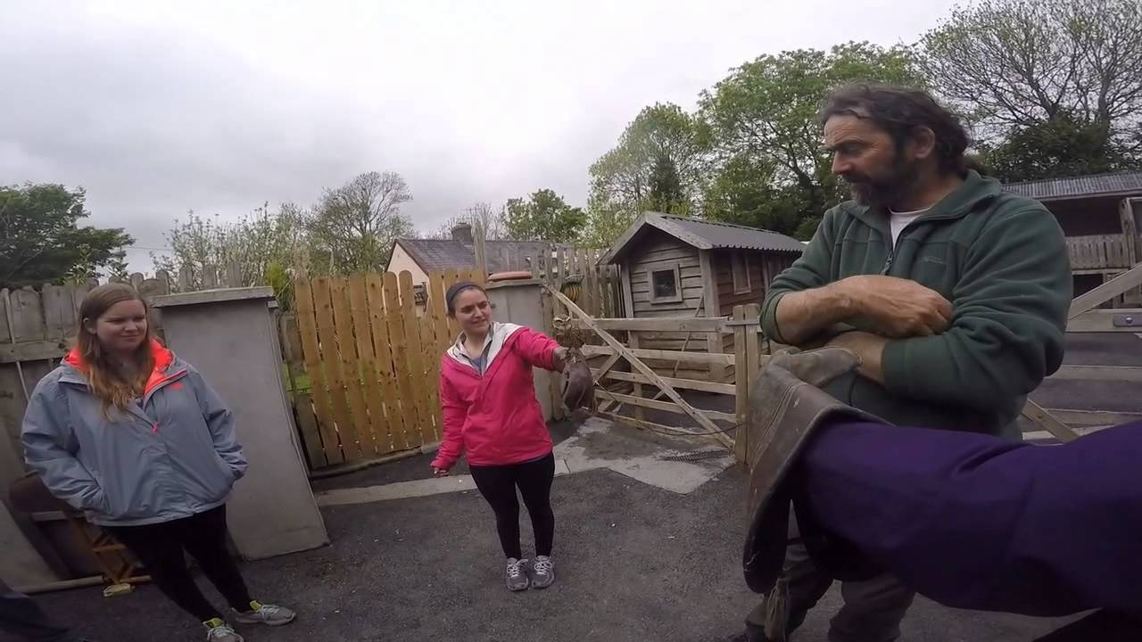 JMU Ireland Study Abroad 2015 - YouTube