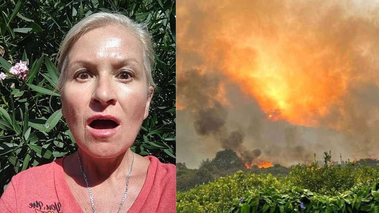 Devastating Wildfires Rip Through Sicily, Summer 2023 - YouTube