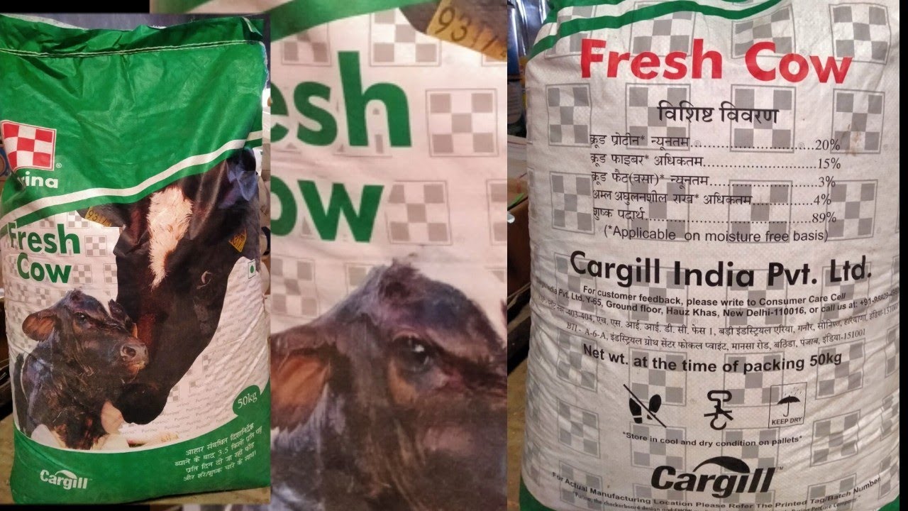 Cargill feed fresh cow use and benefits - YouTube