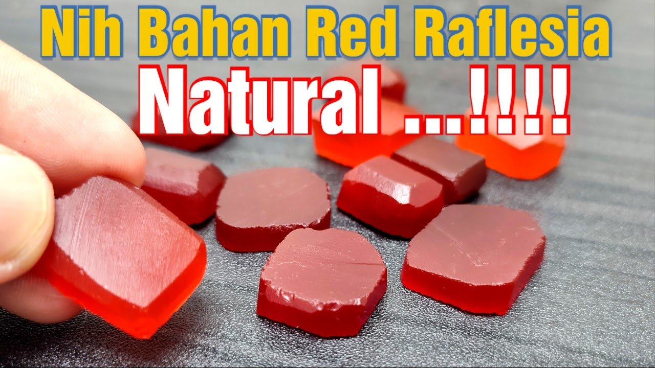 POLAAN MERAH PEDES PEKAT HADIR LAGI BOSKU - YouTube