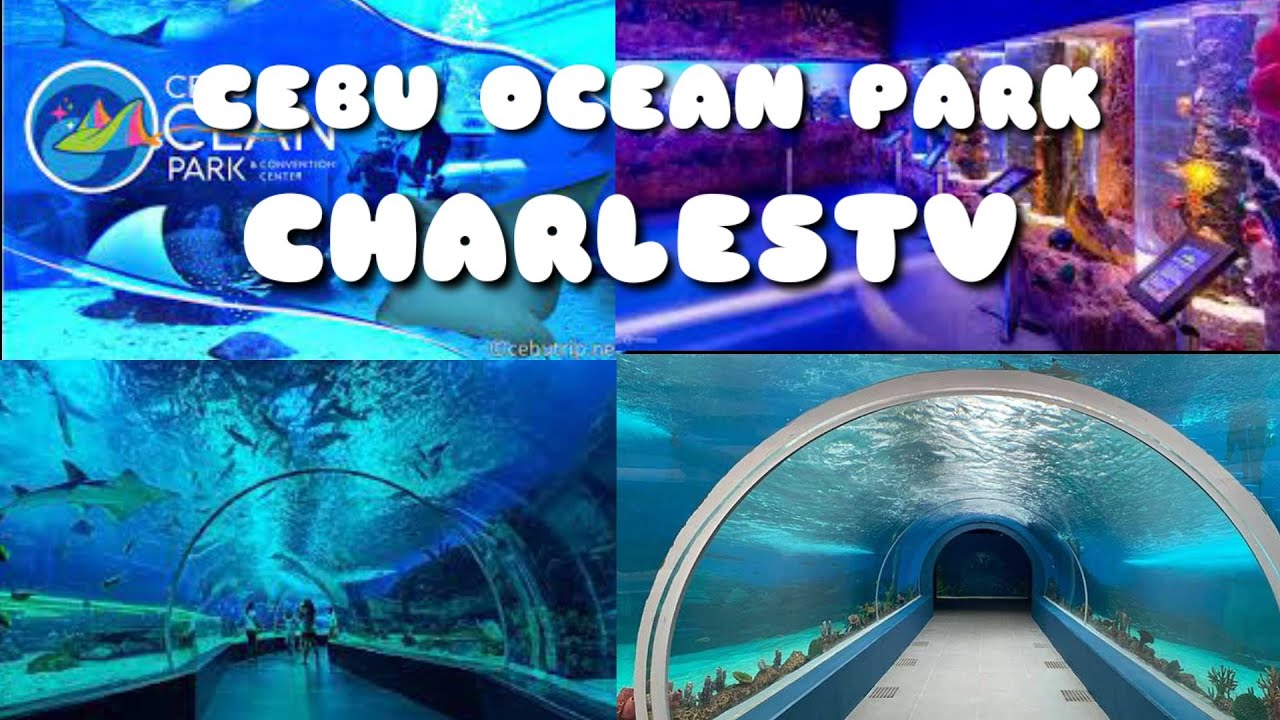 Ang Pinaka Magandang Pasyalan sa Cebu | Cebu Ocean Park | CHARLESTV ...