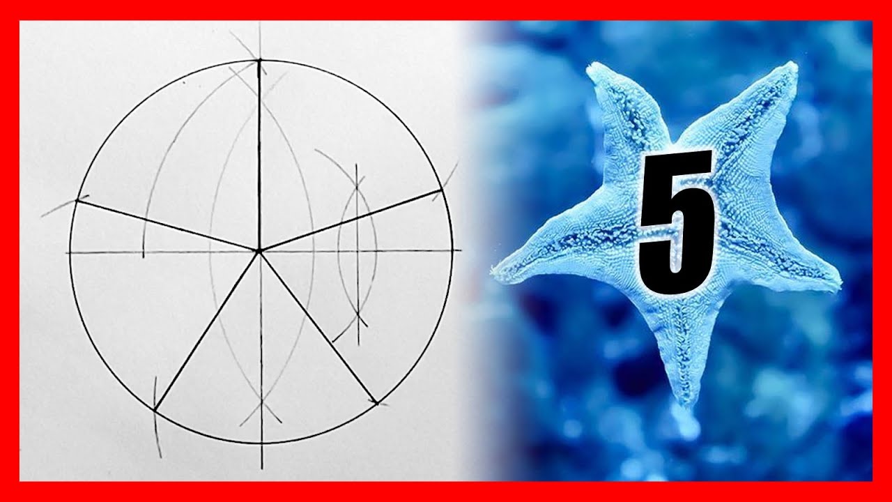 Como dividir un circulo en 5 partes iguales | Parte una circunferencia ...