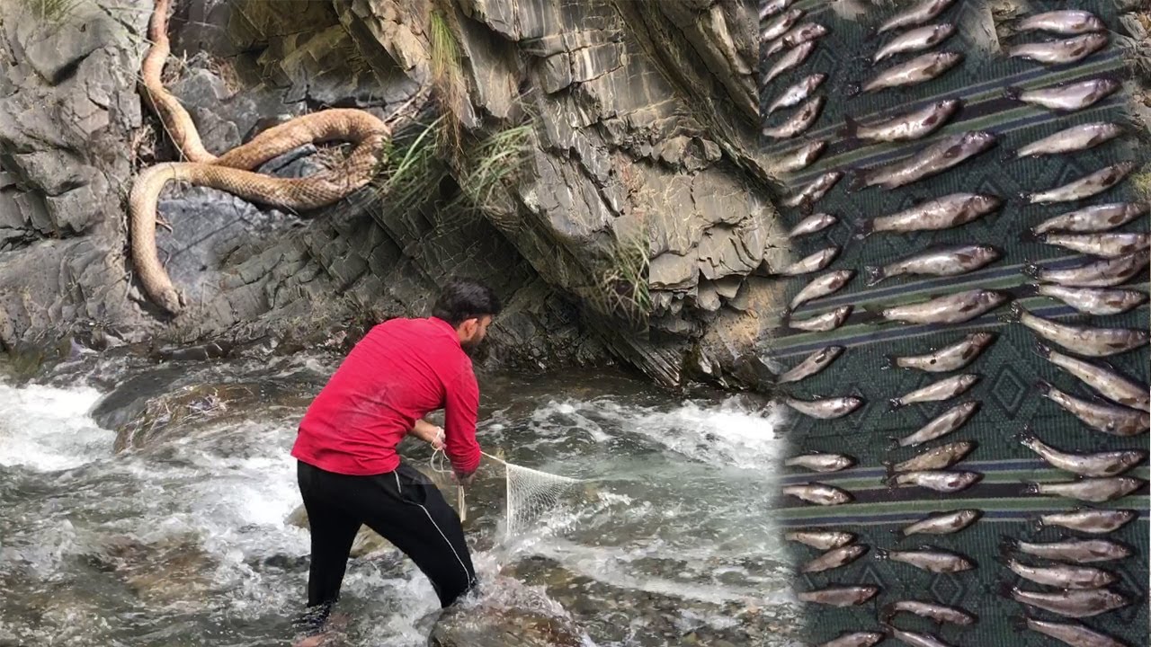 Greatest Fishing Videos of All Time | Traditional net fishing for Snow ...