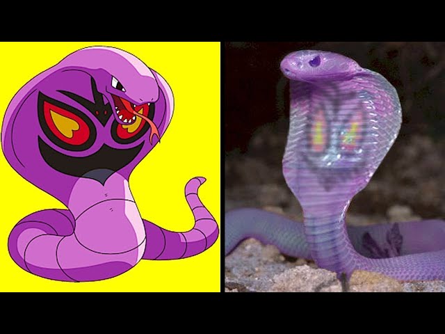 Real Sightings Of Pokemon