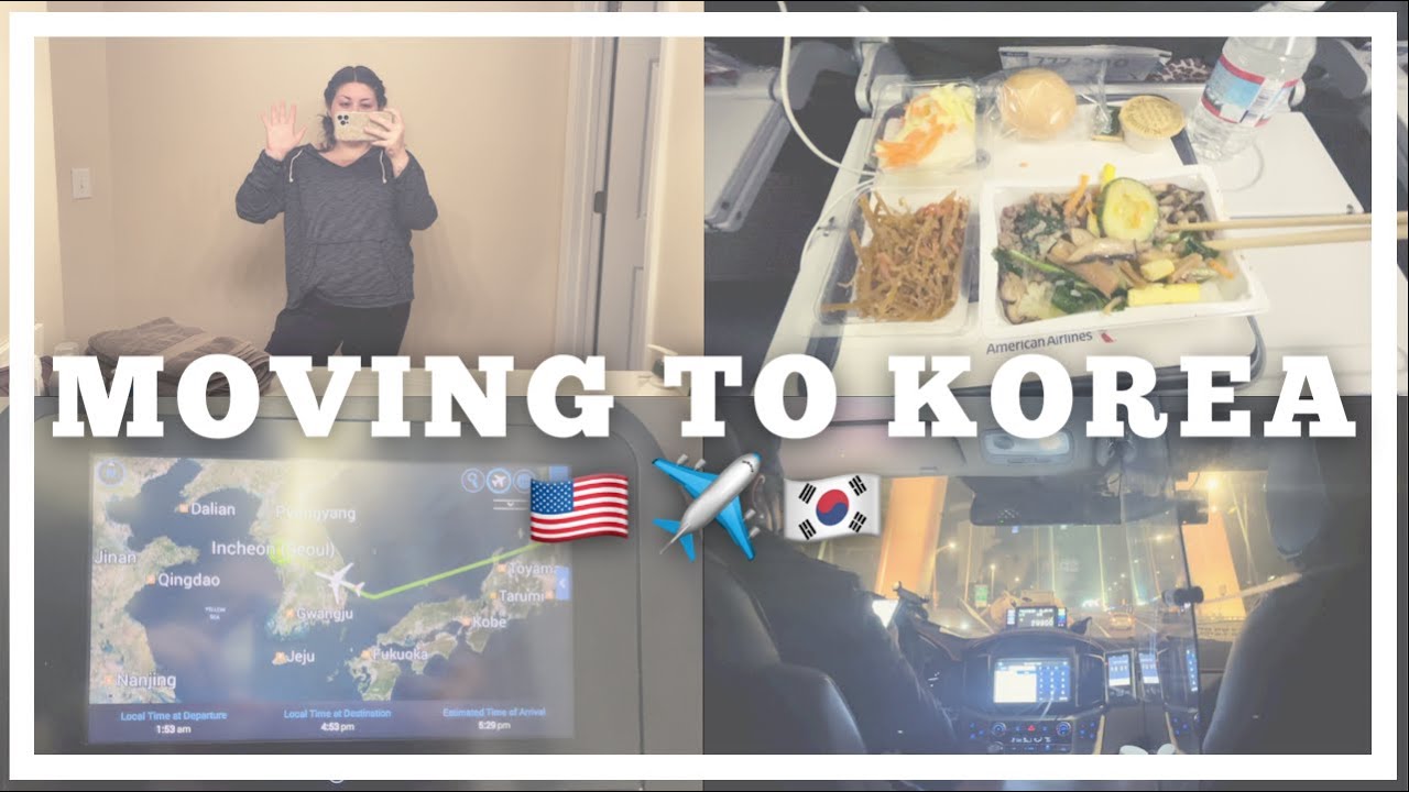 MOVING TO KOREA Long Haul Flight From Dallas To Seoul Immigration moving-to-korea-long-haul-flight-from-dallas-to-seoul-immigration