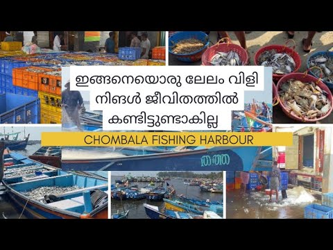 ചോമ്പാല ഫിഷിങ് ഹാർബർ/Chombala Fishing Harbour/രസകരമായ കാഴ്ച്ച# ...