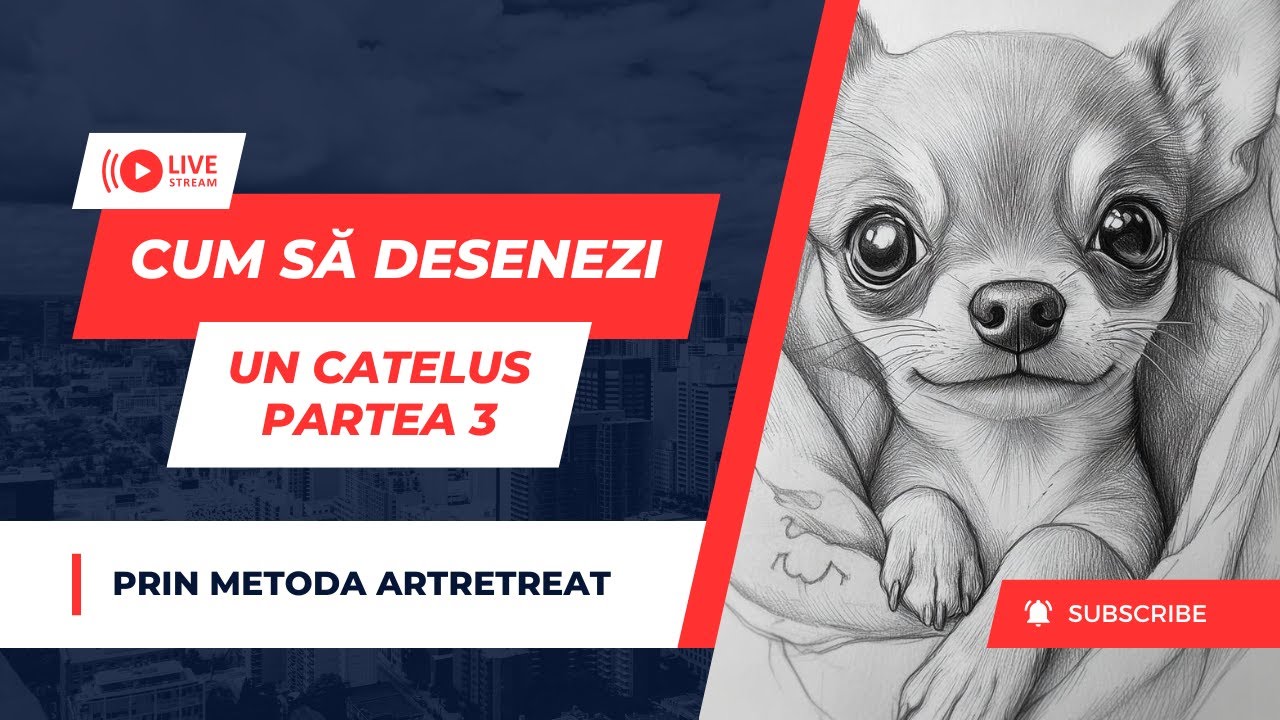 Cum desenam un catel - Ziua 3 - Metoda ArtRetreat - YouTube