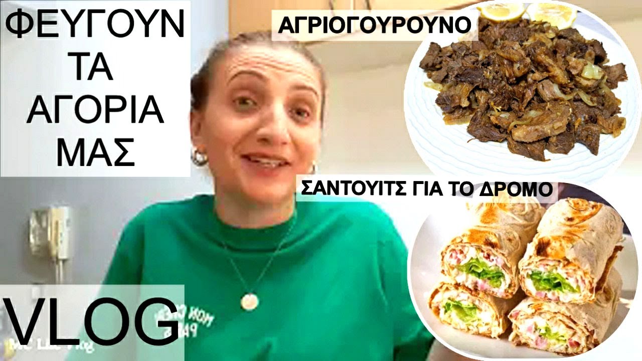 VLOG:Πρώτη φορά Μαγειρεύω ΑΓΡΙΟΓΟΥΡΟΥΝΟ,ΕΎΚΟΛΑ Σάντουιτς για το δρόμο ...