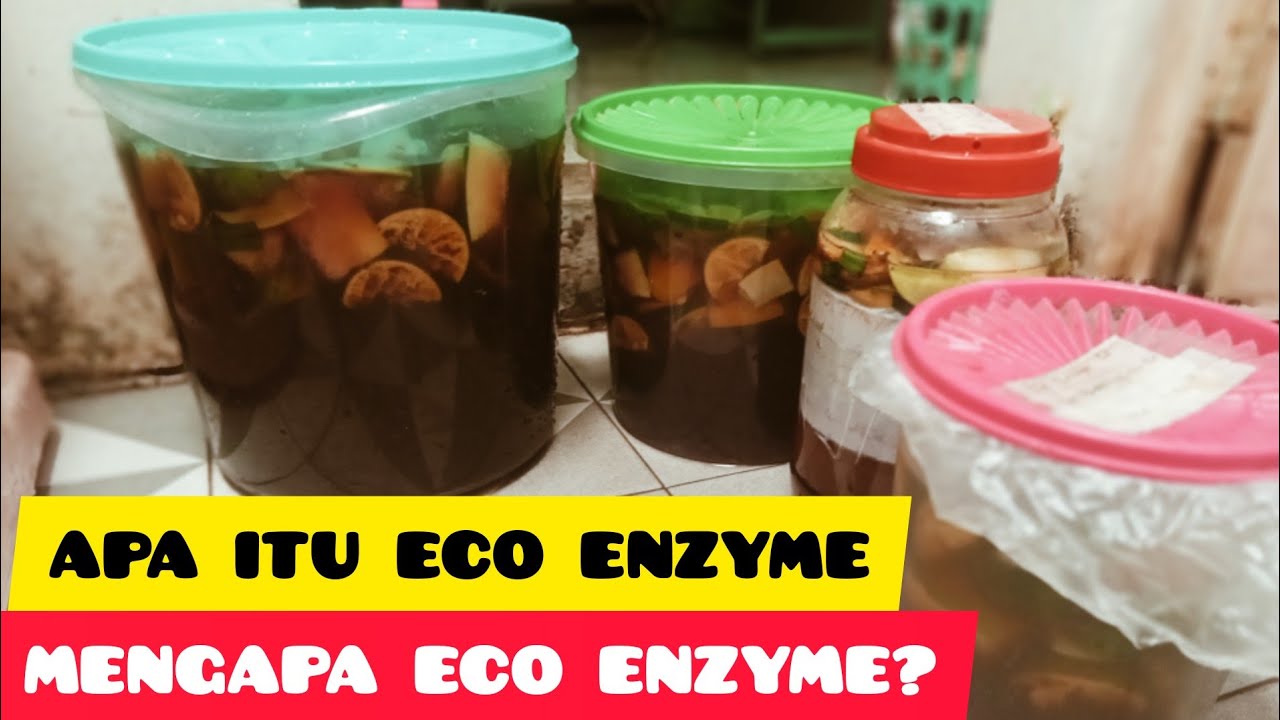 ECO ENZYME ADALAH MENGAPA ECO ENZYME CARA MEMBUAT ECO ENZYME - YouTube