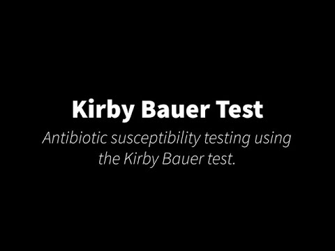 Kirby Bauer Test - YouTube