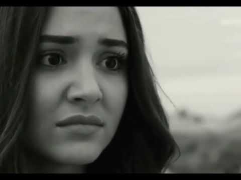 Whatsap üçün sevgi videolari