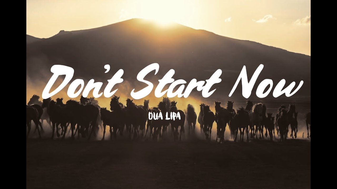 Dua Lipa : Dont Start Now (Lyrics) - YouTube